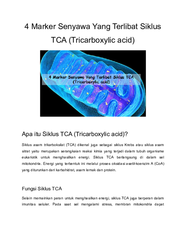 (PDF) 4 Marker Senyawa Yang Terlibat Siklus TCA (Tricarboxylic acid)