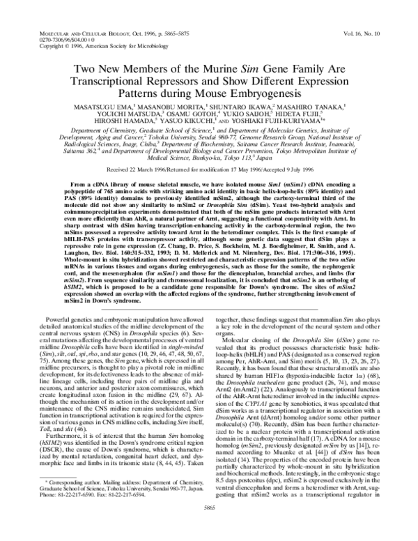 (PDF) Two new members of the murine Sim gene family are transcriptional repressors and show ...
