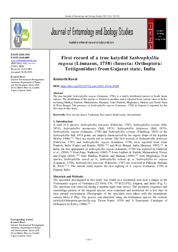 (PDF) First record of a true katydid Sathrophyllia rugosa (Linnaeus ...
