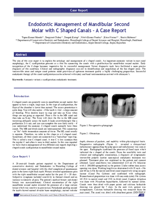 (PDF) Endodontic Management of Mandibular Second Molar with C Shaped ...