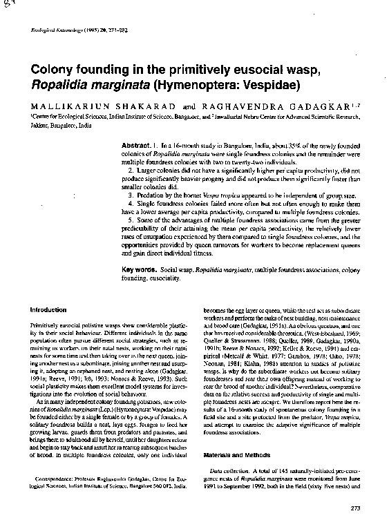 (PDF) Colony founding in the primitively eusocial wasp, Ropalidia ...
