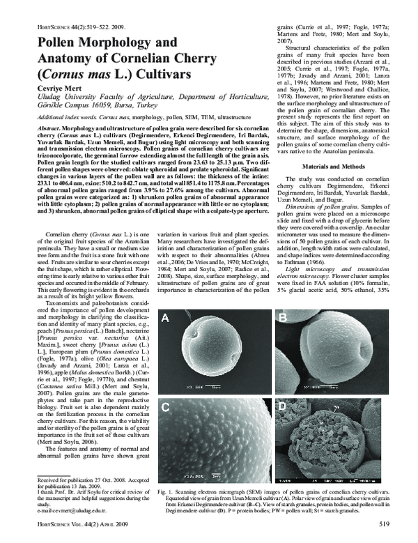 (PDF) Pollen Morphology and Anatomy of Cornelian Cherry (Cornus mas L ...