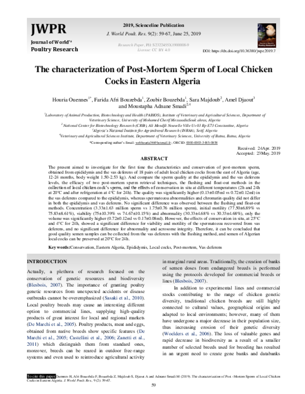 (PDF) The characterization of Post-Mortem Sperm of Local Chicken Cocks ...