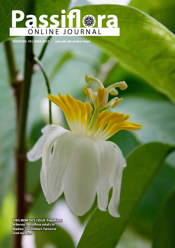 (PDF) Genetic resources of Colombian Tacsonias (Passiflora supersection ...