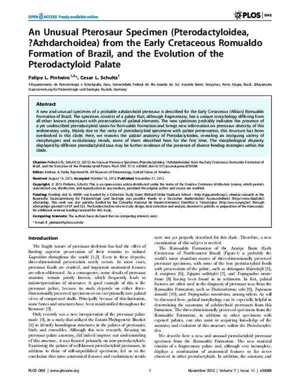 (PDF) An Unusual Pterosaur Specimen (Pterodactyloidea, ?Azhdarchoidea ...