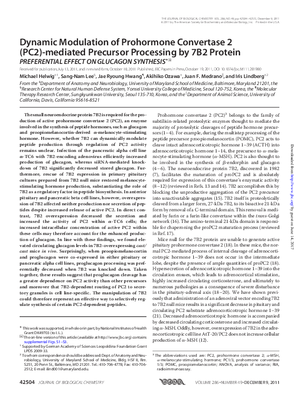 (PDF) Dynamic Modulation of Prohormone Convertase 2 (PC2)-mediated ...