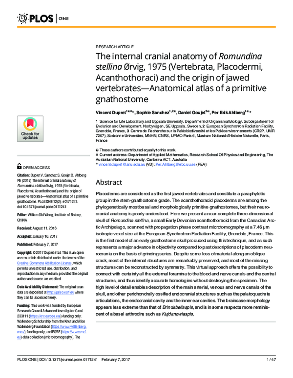 (PDF) The internal cranial anatomy of Romundina stellina Ørvig, 1975 ...
