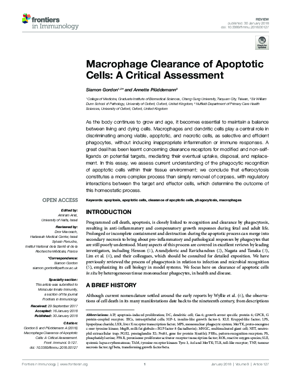 (PDF) Assessing Macrophages in Apoptotic Cell Clearance