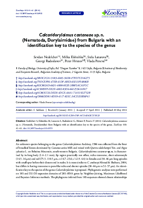 (PDF) Calcaridorylaimus castaneae sp. n. (Nematoda, Dorylaimidae) from ...
