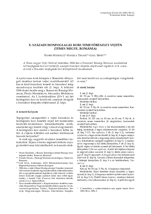 (PDF) X. századi honfoglalás kori temetőrészlet Vejtén (Temes megye ...