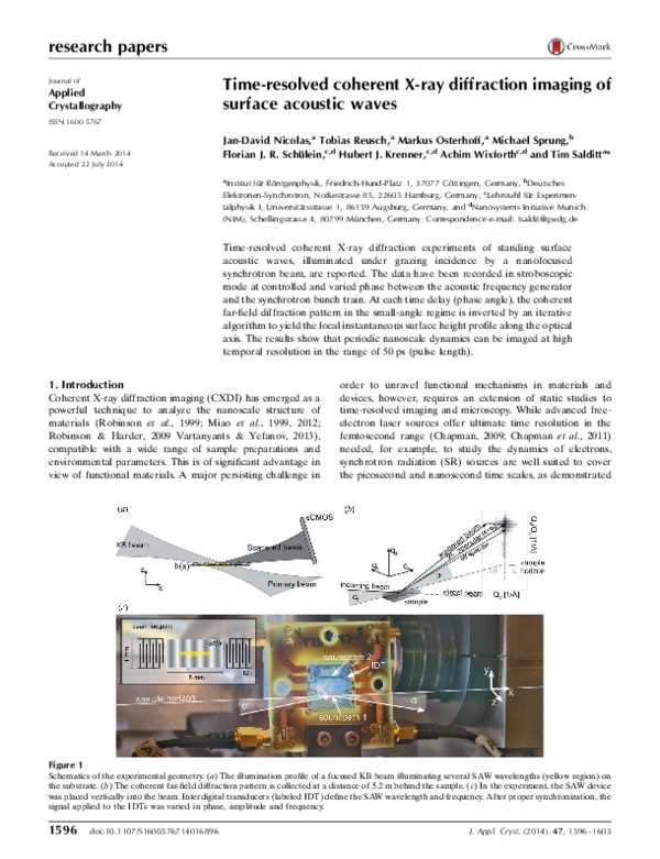 (PDF) Time-resolved coherent X-ray diffraction imaging of surface ...