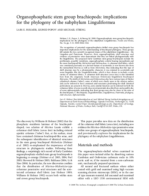 (PDF) Organophosphatic stem group brachiopods: implications for the ...
