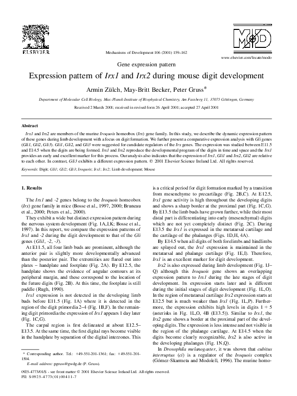 (PDF) Expression pattern of Irx1 and Irx2 during mouse digit development