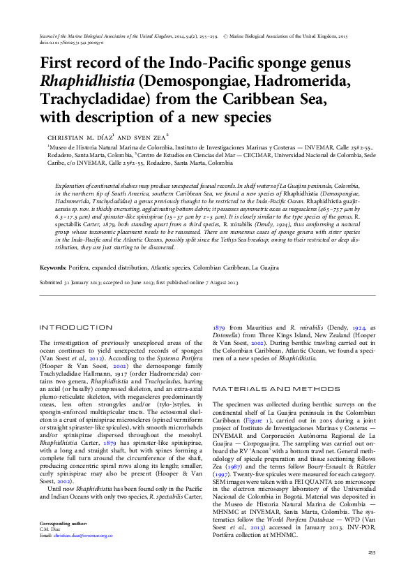 (PDF) First record of the Indo-Pacific sponge genus Rhaphidhistia ...