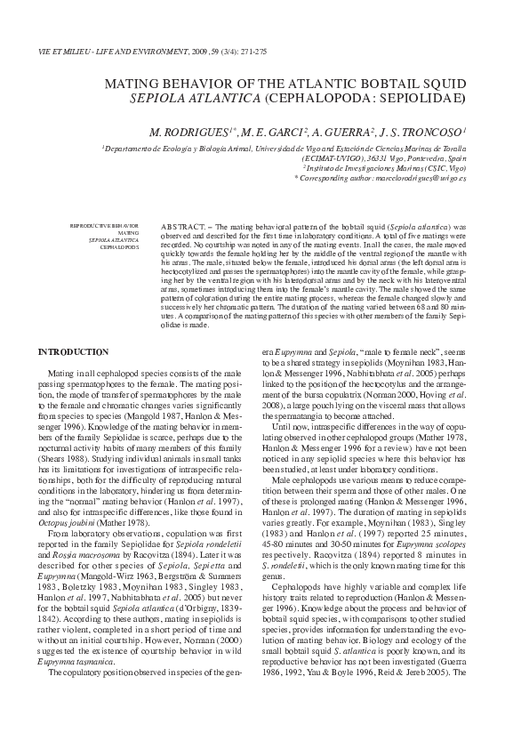 (PDF) Mating Behavior of the Atlantic Bobtail Squid Sepiola Atlantica ...