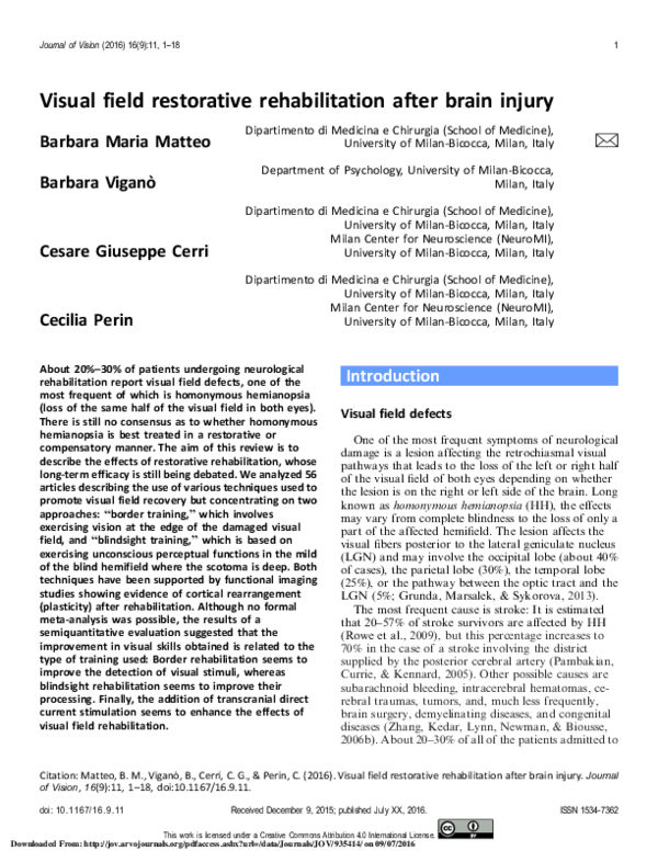 (PDF) Visual field restorative rehabilitation after brain injury