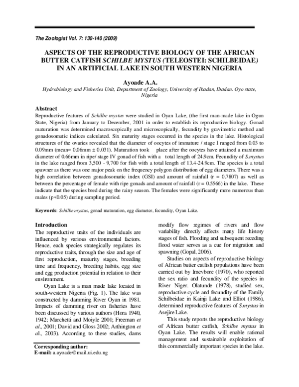 (PDF) Aspects of the reproductive biology of the African butter catfish ...