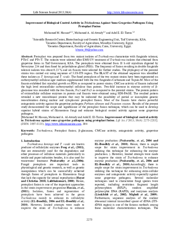 (PDF) Use of lytic enzymes for protoplast production in Trichoderma reesei QM9414 | Paramjeet ...