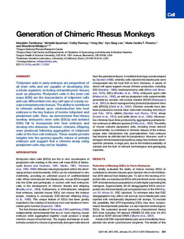 (PDF) Chimeric Rhesus Monkey Generation Insights
