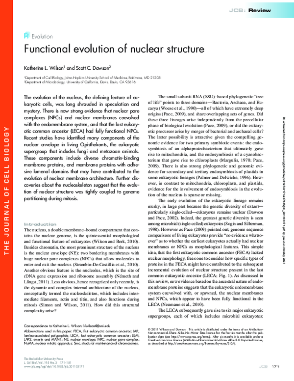(PDF) Evolution: Functional evolution of nuclear structure