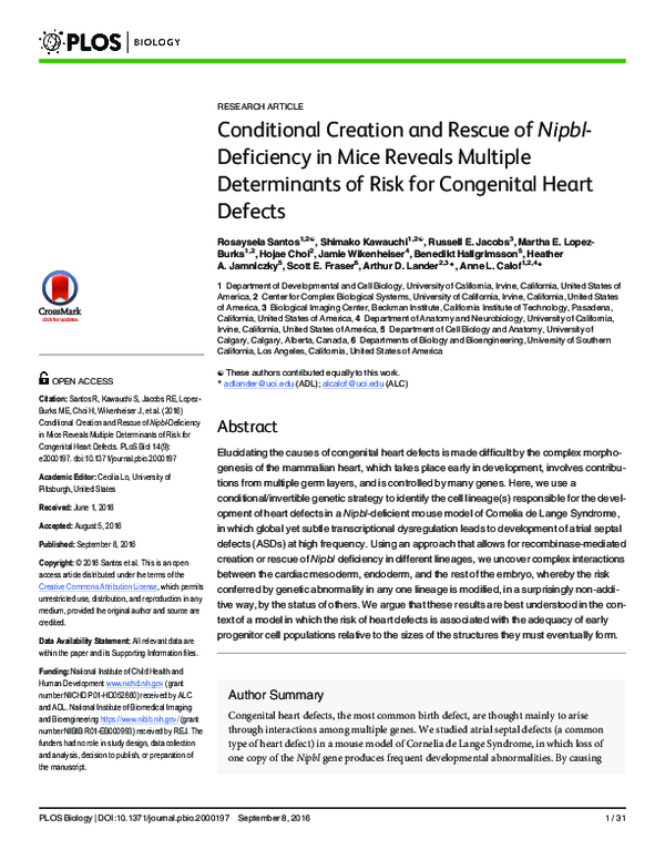 Pdf Conditional Creation And Rescue Of Nipbl Deficiency In Mice