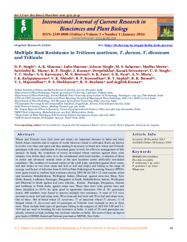 (PDF) Multiple Rust Resistance in Triticum aestivum, T. durum, T ...