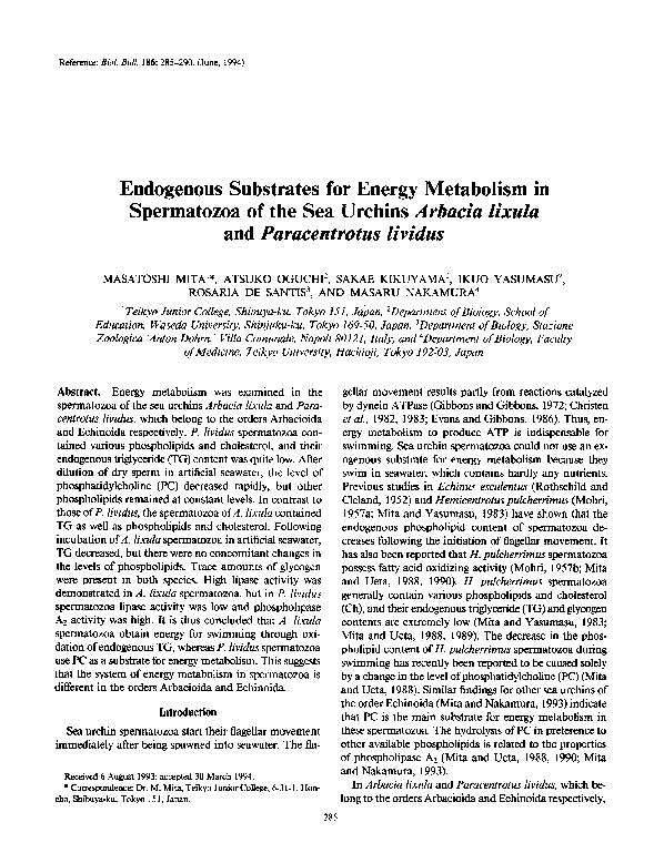 (PDF) Endogenous Substrates for Energy Metabolism in Spermatozoa of the ...