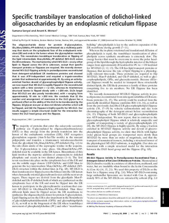 (PDF) Specific transbilayer translocation of dolichol-linked ...