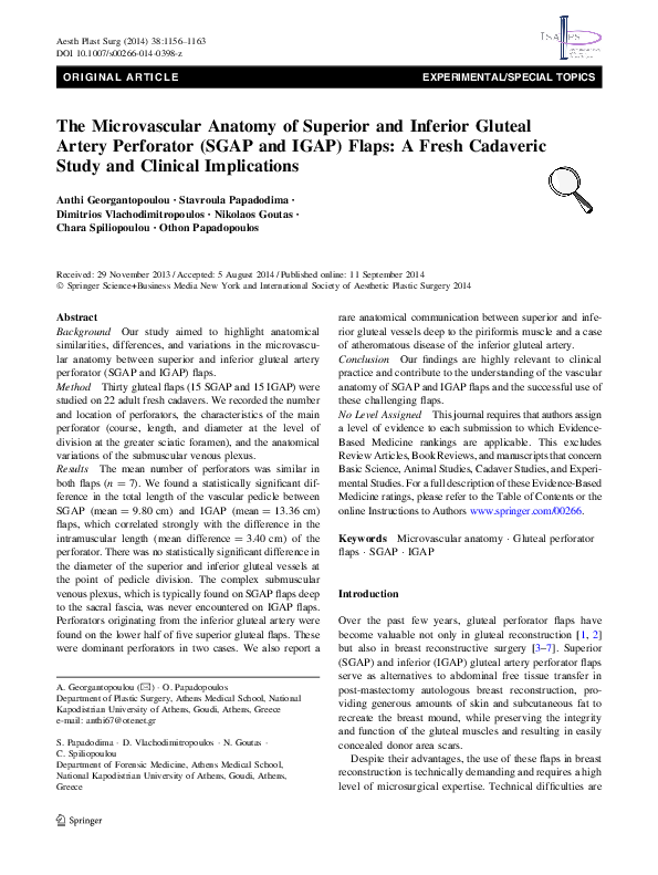 (PDF) The microvascular anatomy of superior and inferior gluteal artery ...