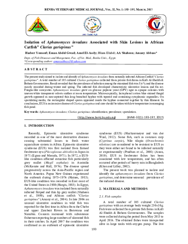 (PDF) Isolation of Aphanomyces invadans Associated with Skin Lesions in ...