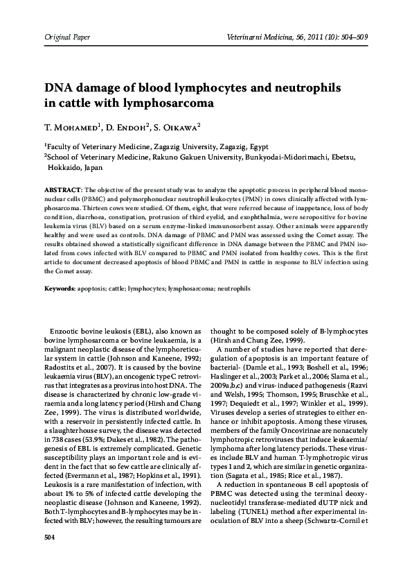 (PDF) DNA damage of blood lymphocytes and neutrophils in cattle with ...