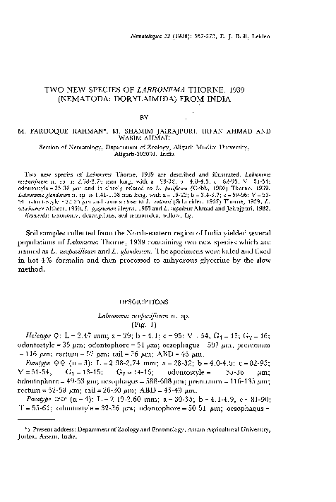 (PDF) Two new species of Labronema (Nematoda: Dorylaimida) from India