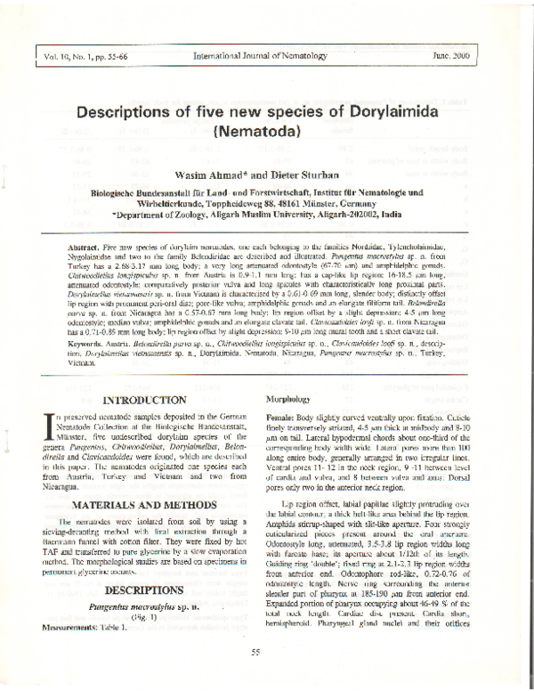(PDF) Description of five new species of Dorylaimida (Nematoda)