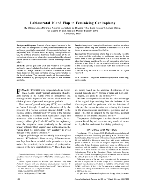 (PDF) Labioscrotal island flap in feminizing genitoplasty