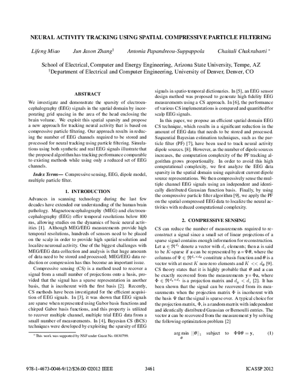(PDF) Neural activity tracking using spatial compressive particle filtering