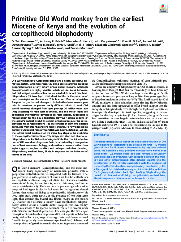 (PDF) Primitive Old World monkey from the earliest Miocene of Kenya and ...