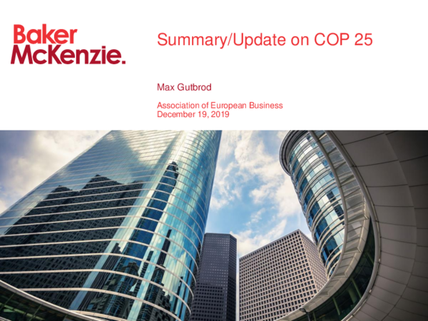 (PDF) Summary/Update on COP 25