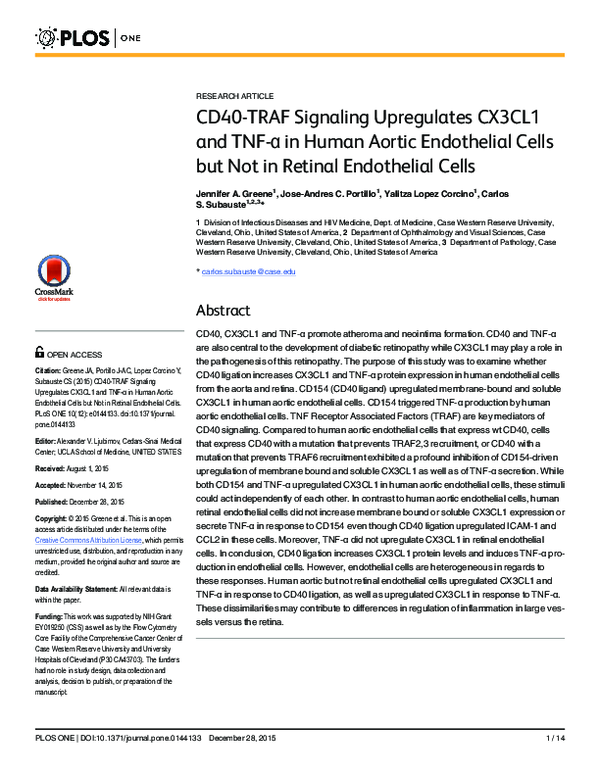 (PDF) CD40-TRAF Signaling Upregulates CX3CL1 and TNF-α in Human Aortic ...