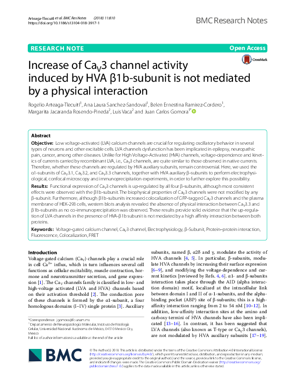 (PDF) Increase of CaV3 channel activity induced by HVA β1b-subunit is ...