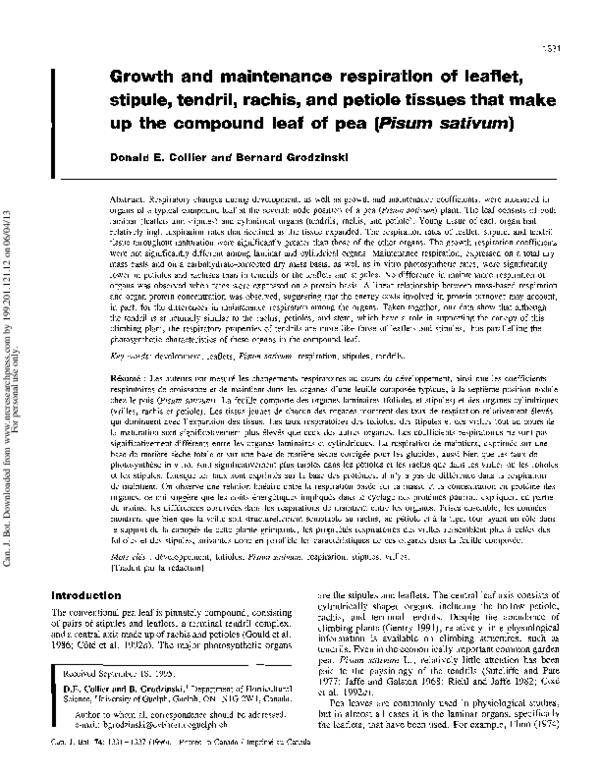 (PDF) Growth and maintenance respiration of leaflet, stipule, tendril ...