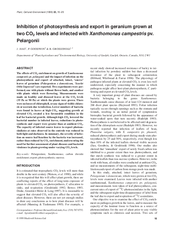 (PDF) Inhibition of photosynthesis and export in geranium grown at two ...