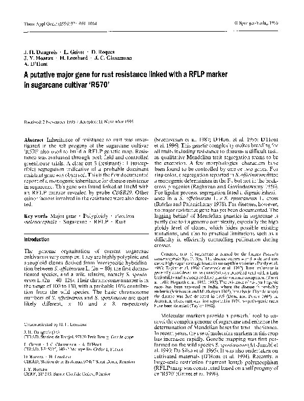 (PDF) A putative major gene for rust resistance linked with a RFLP ...