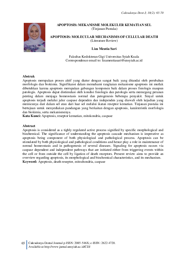 (PDF) Apoptosis: Mekanisme Molekuler Kematian Sel (PDF) Apoptosis: Mekanisme Molekuler Kematian Sel