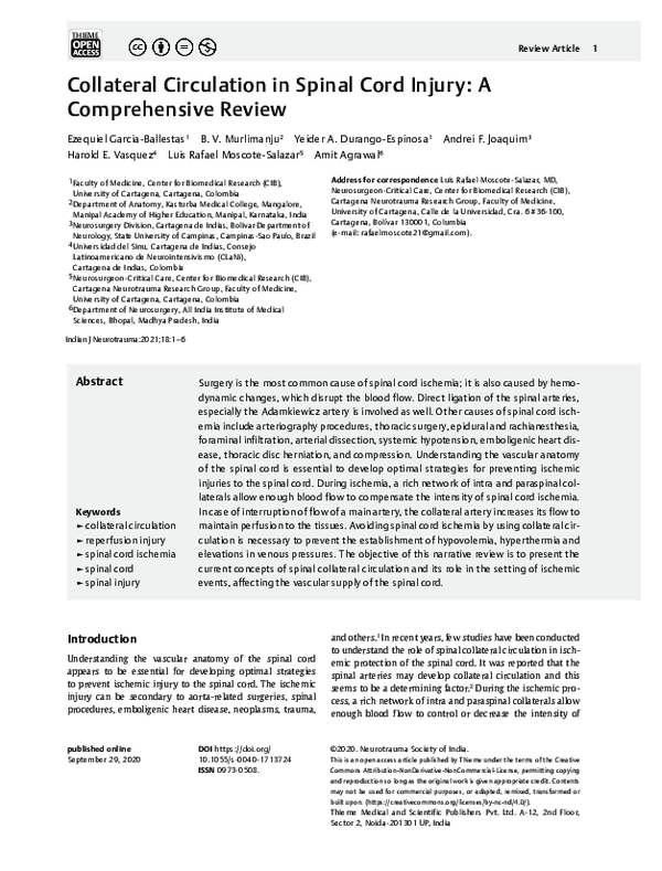 (PDF) Collateral Circulation in Spinal Cord Injury: A Comprehensive Review