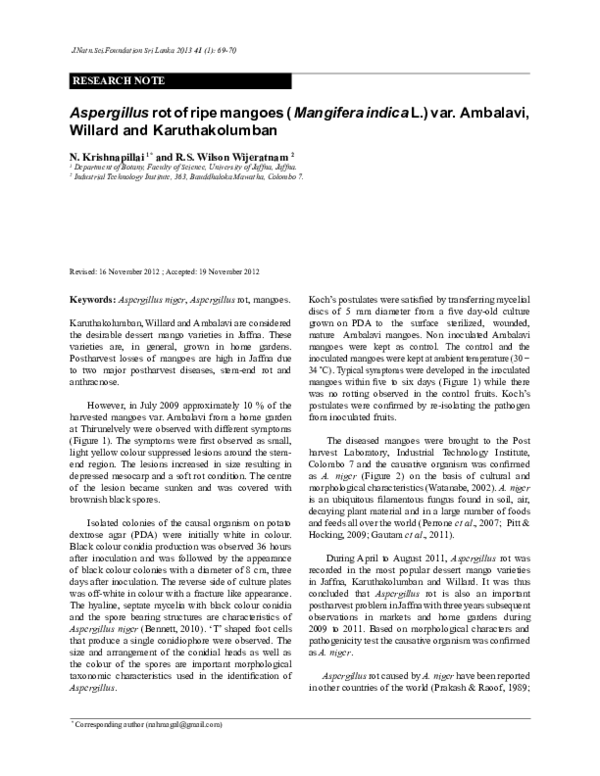 (PDF) Aspergillus rot of ripe mangoes ( Mangifera indica L.) var ...