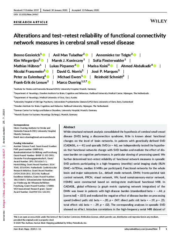 (PDF) Functional Connectivity in Small Vessel Disease