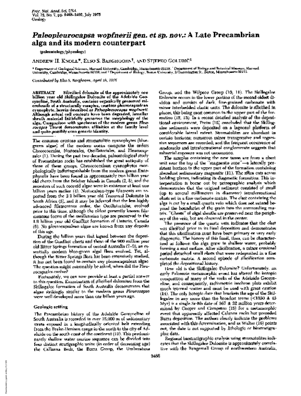 (PDF) Paleopleurocapsa wopfnerii gen. et sp. nov.: A Late Precambrian ...