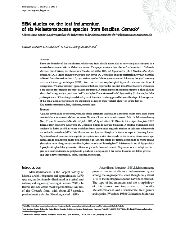 (PDF) SEM studies on the leaf indumentum of six Melastomataceae species ...