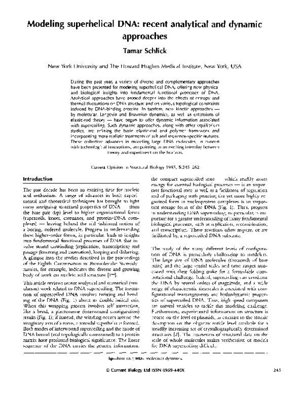 (PDF) Modeling superhelical DNA: recent analytical and dynamic approaches