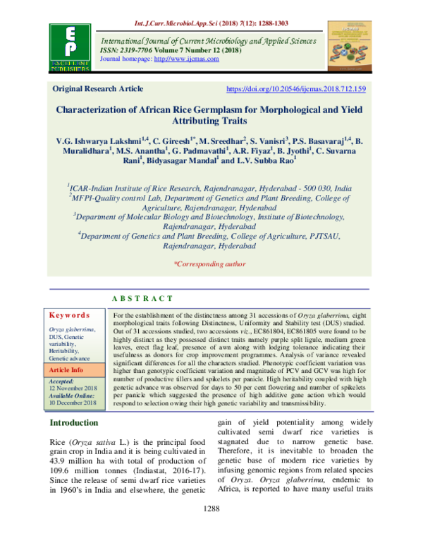 (PDF) Characterization of African Rice Germplasm for Morphological and Yield Attributing Traits
